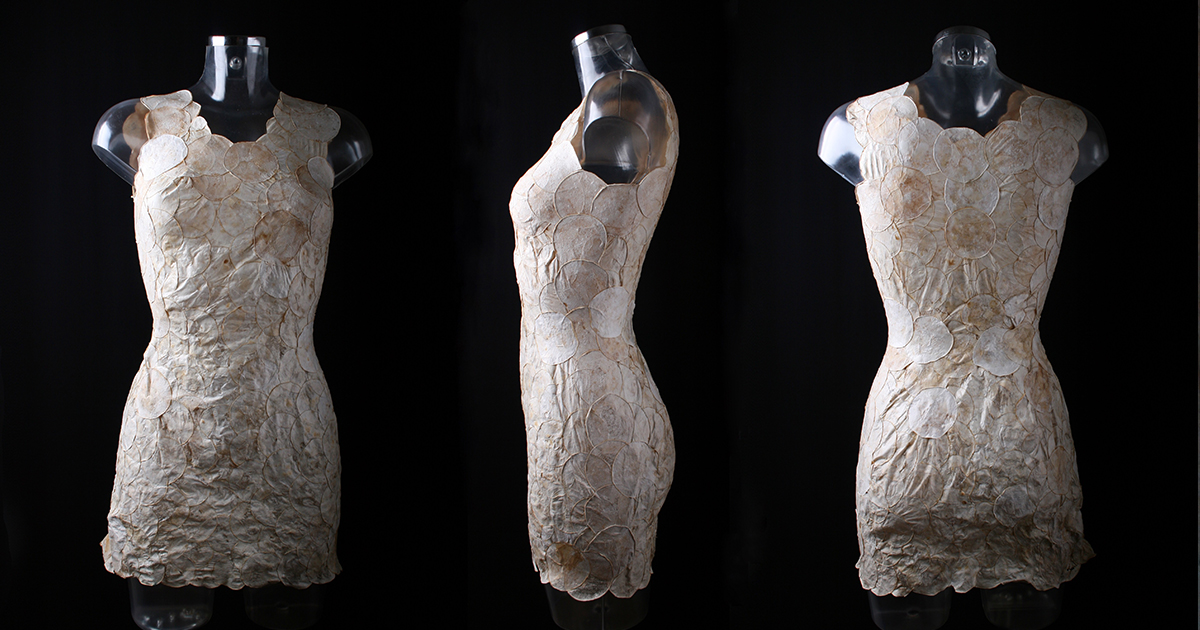 キノコの菌から服地？ 環境への負荷も時間も激減する究極のサステイナブル素材 - WWDJAPAN